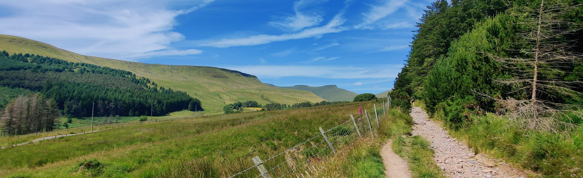 The Fan Dance: 3.959 Fotos - Merthyr Tydfil, Wales | AllTrails