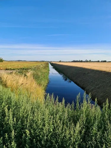 Best Trails, Walks, and Paths in Wisbech | AllTrails