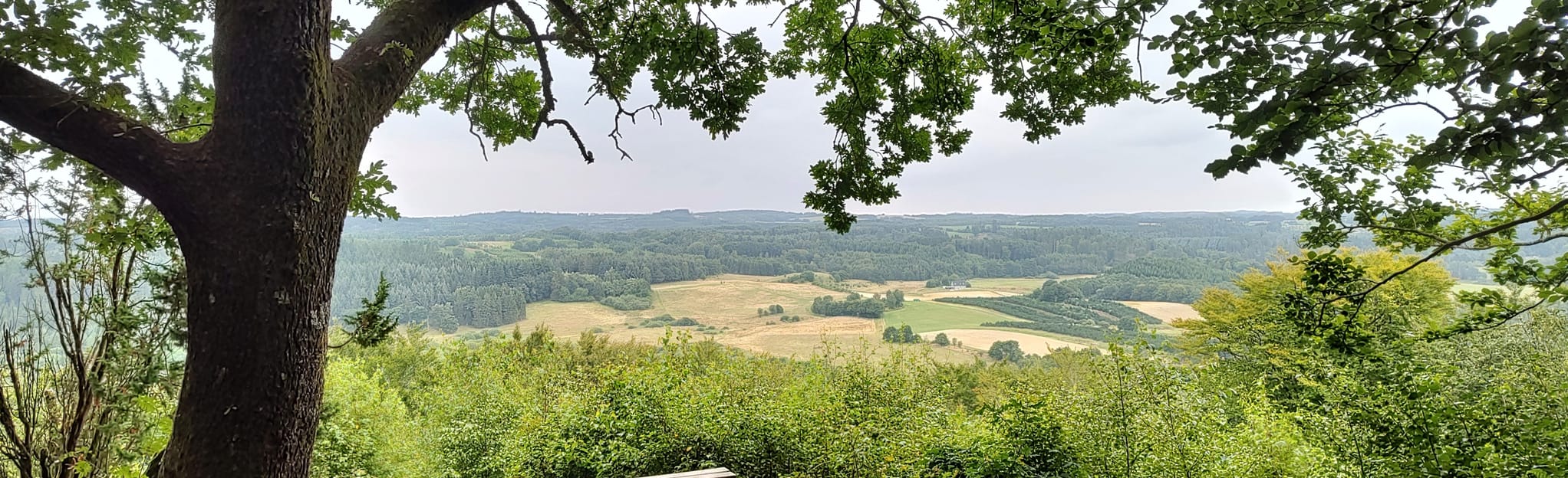 Velling Kalv, 93 Fotos - Region Midtjylland, Dänemark | AllTrails