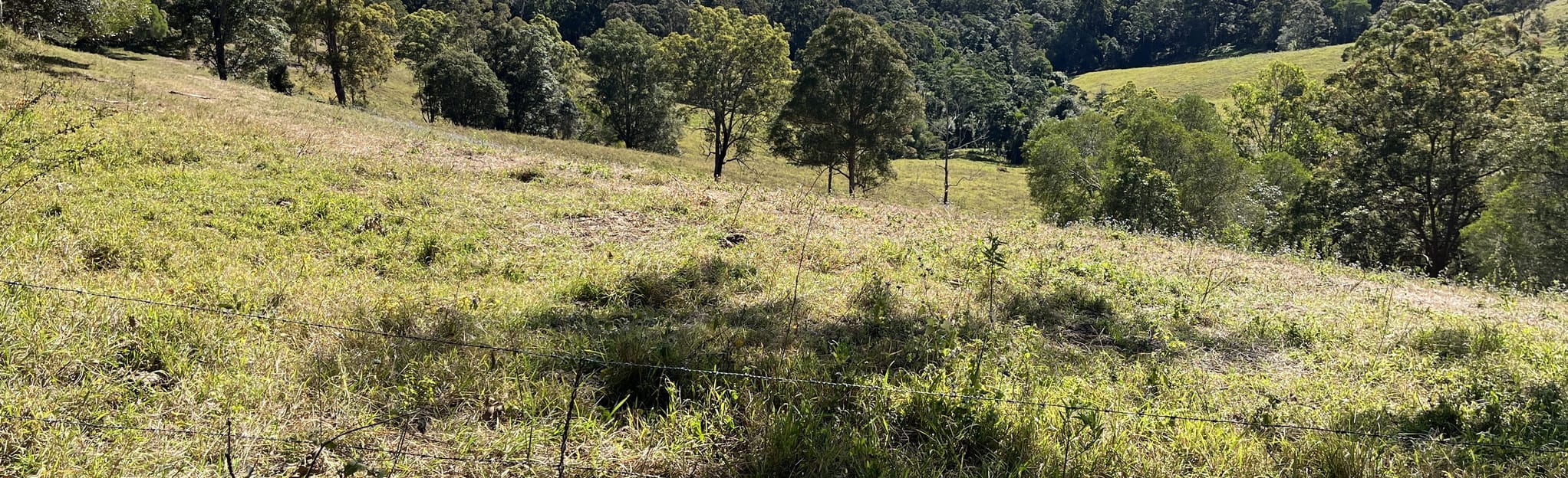 West Cooroy State Forest Loop, Queensland, Australia - 50 Reviews, Map ...