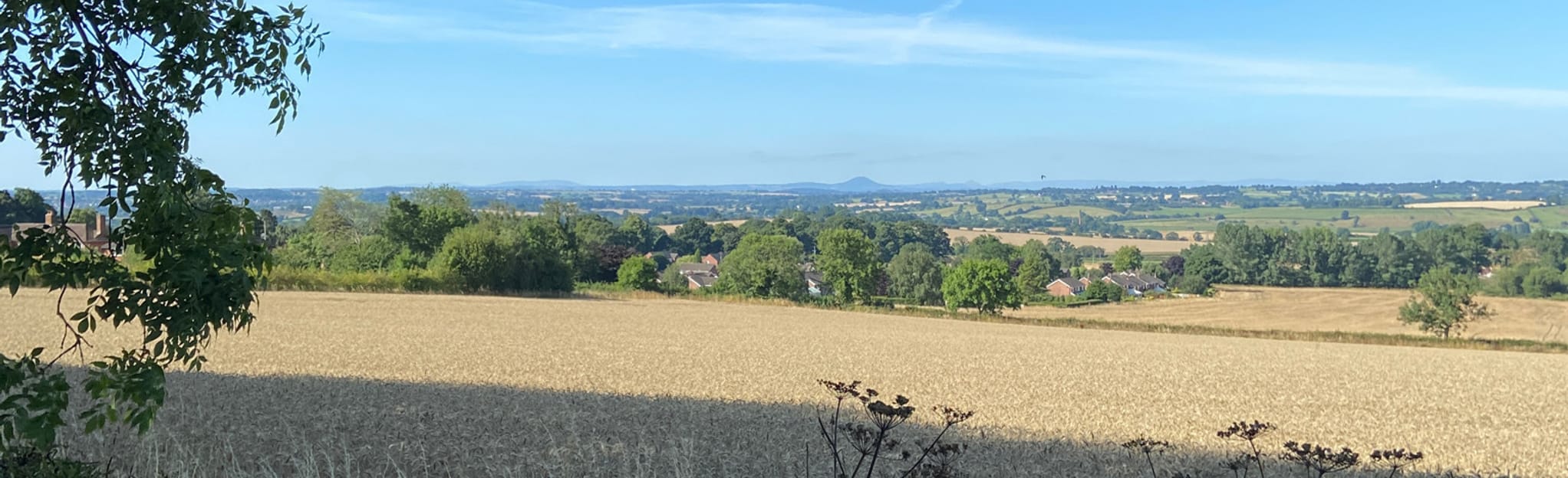 Swynnerton - Beech Circular: 12 Reviews, Map - Staffordshire, England ...