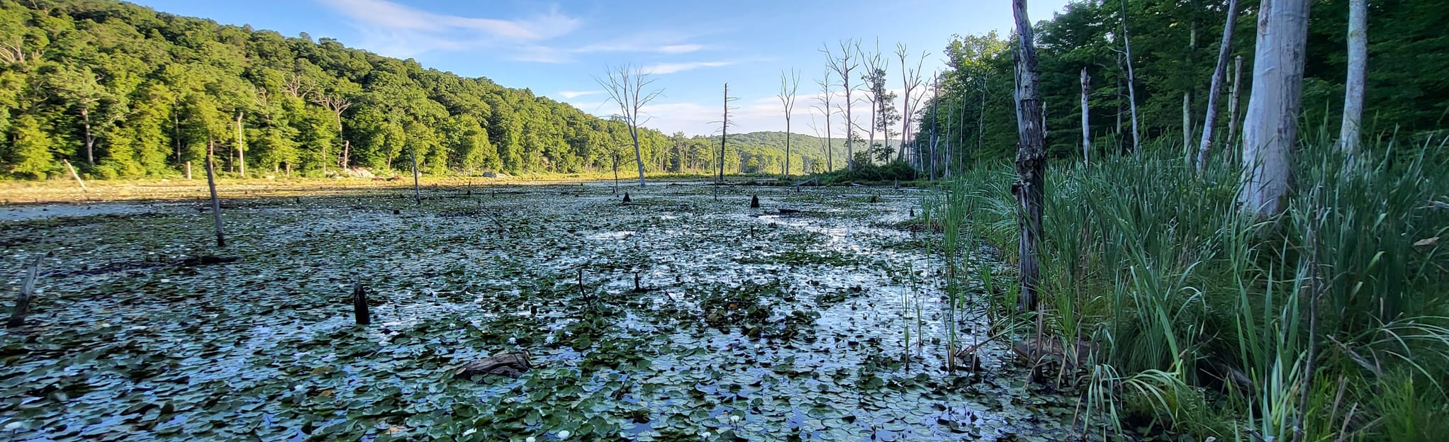 Clinton Reservoir From Dead Man's Curve | Map, Guide - New Jersey ...