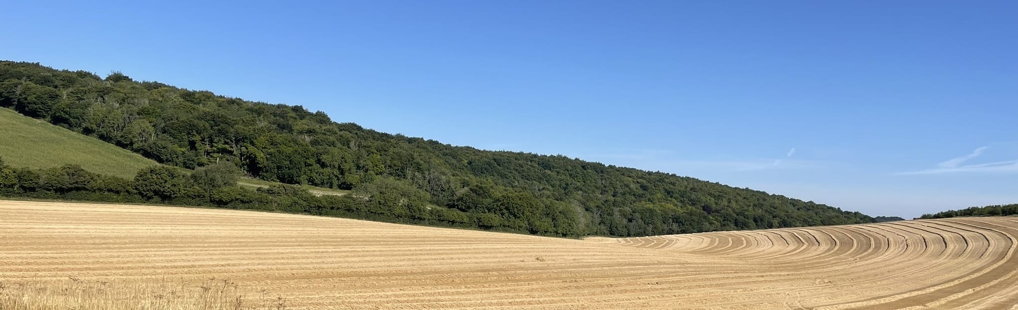 Meon Valley Circular Pub Walk | Map, Guide - Hampshire, England | AllTrails