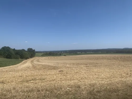 2023 Best Forest Trails in Mackenbach | AllTrails