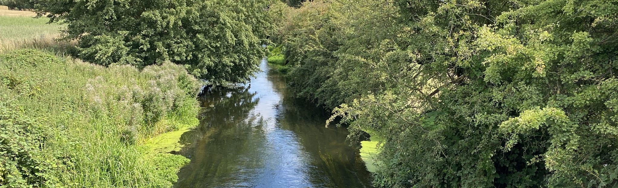 Haughton, Rivers Maun and Meden: 45 Reviews, Map - Nottinghamshire ...