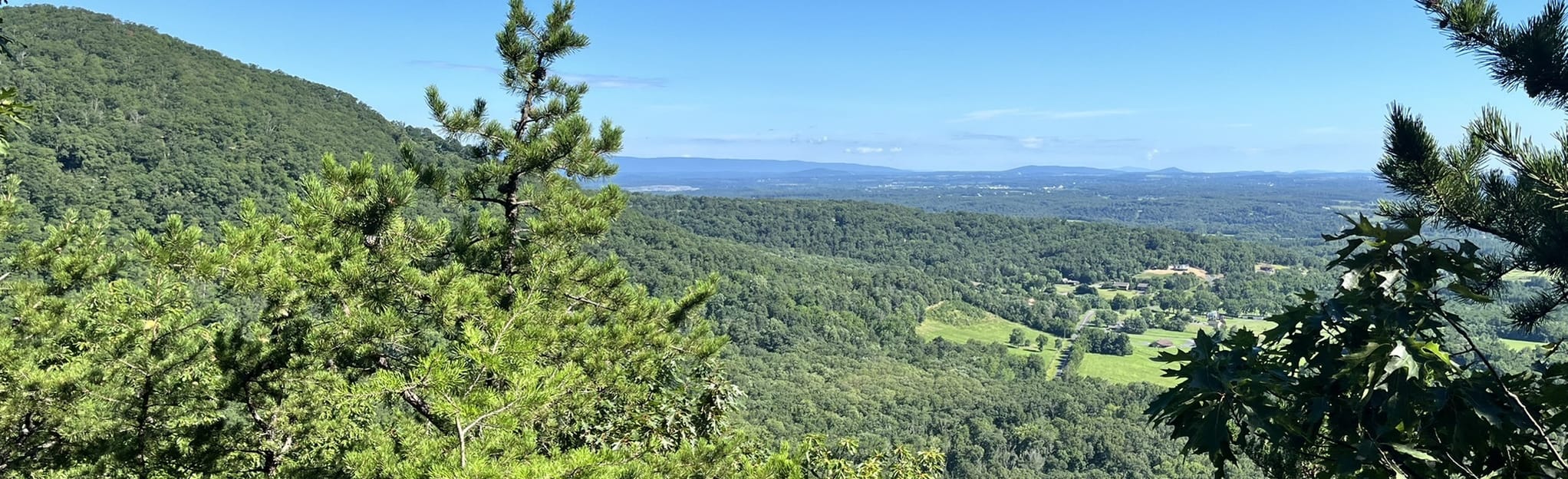 Buzzard Rock: 1313 Reviews, Map - Virginia | AllTrails