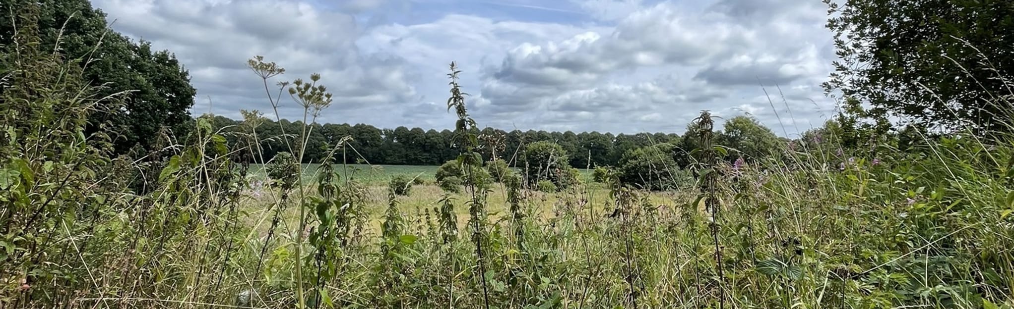 Bamber Bridge to River Ribble: 114 Reviews, Map - Lancashire, England ...