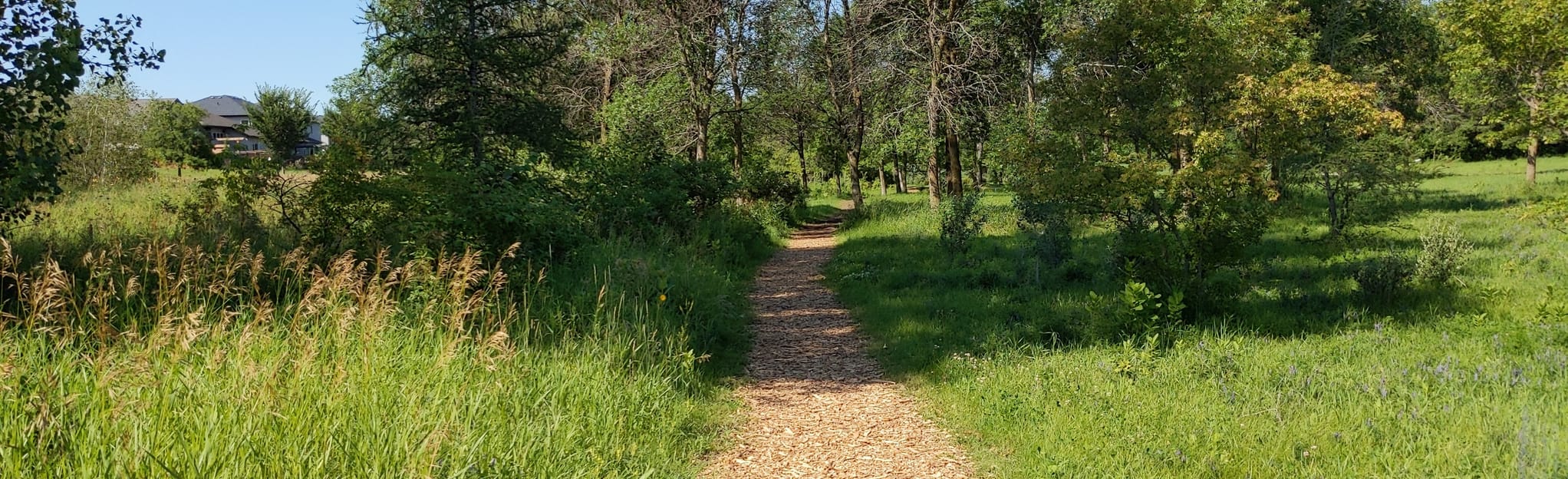 Henteleff Park Walk, Manitoba, Canada - 153 Reviews, Map | AllTrails