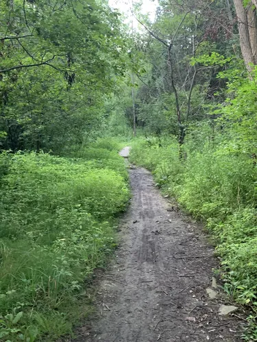 10 Best Walking Trails in Guelph | AllTrails