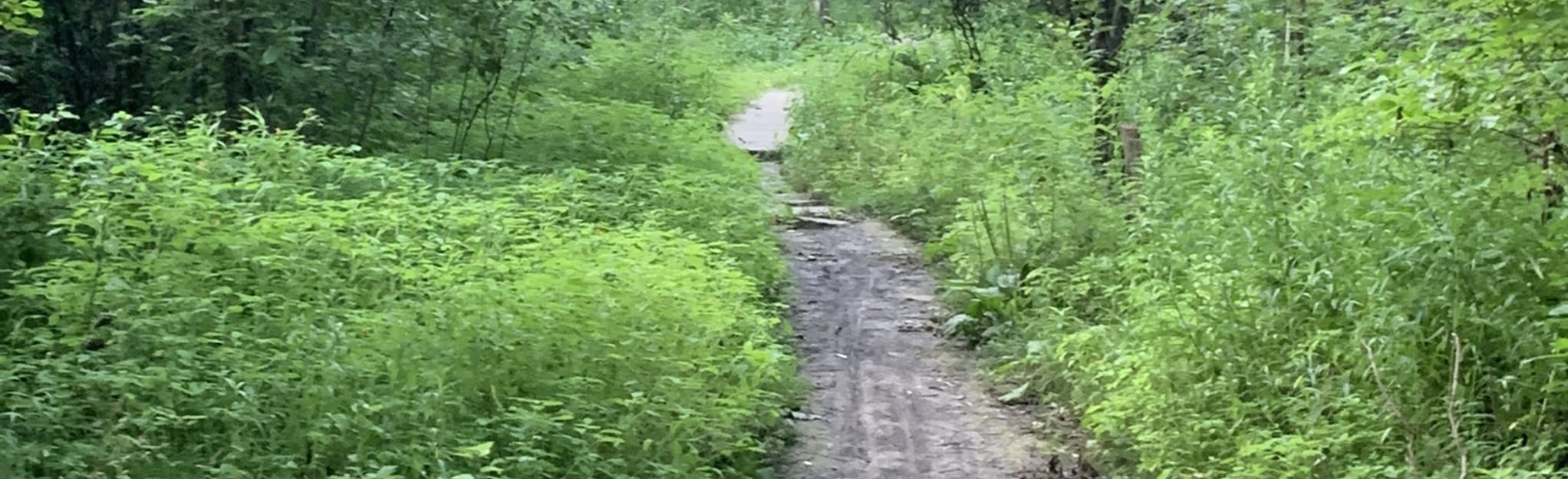 Royal Recreational Trail and Guelph Radial Trail, Ontario, Canada - 115 ...