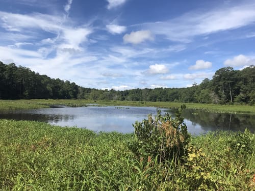 Best Hikes and Trails in Sweet Run State Park | AllTrails