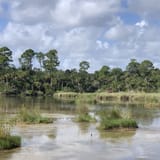 Boardman Pond Observation Platform Trail, Florida - 74 Reviews, Map ...