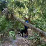 Boardman Pond Observation Platform Trail, Florida - 74 Reviews, Map ...