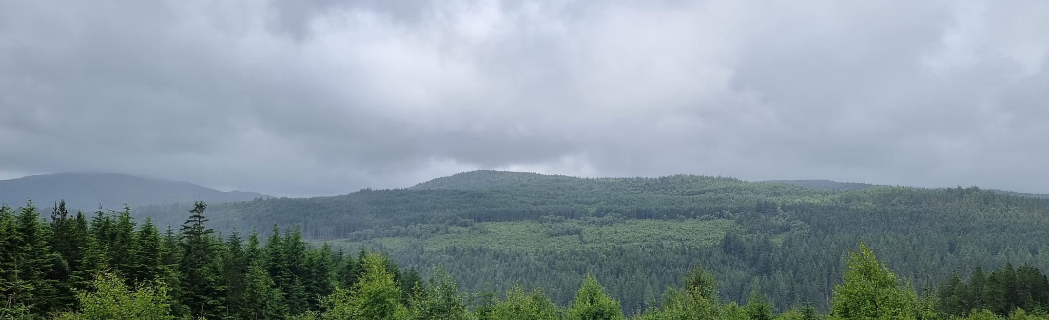 Sarn Helen (Short Route) Circular, Gwynedd, Wales - 3 Reviews, Map ...