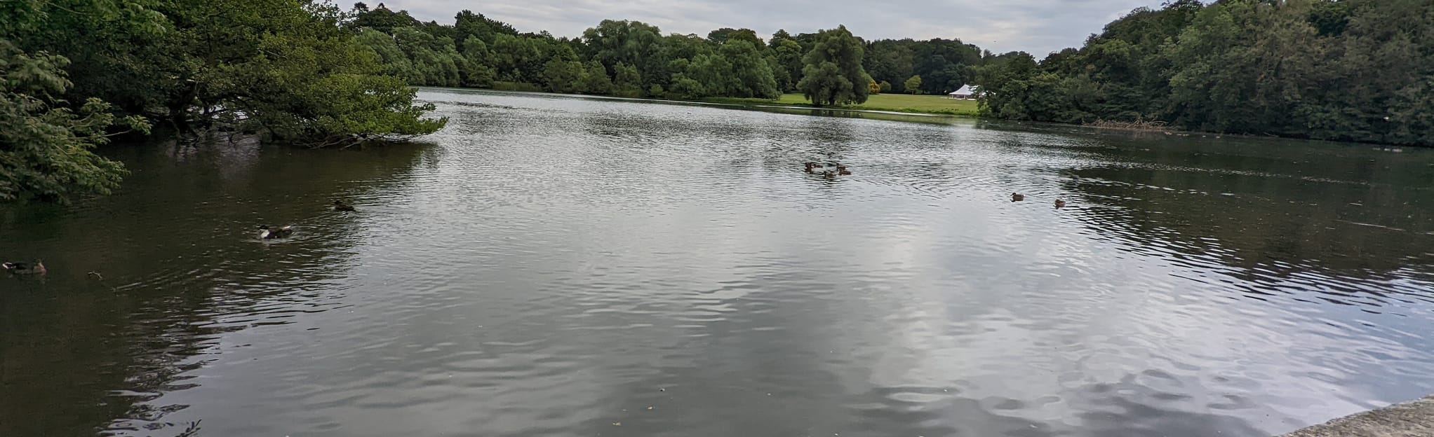 Husthwaite to Coxwold Circular | Mappa, Guida - North Yorkshire ...