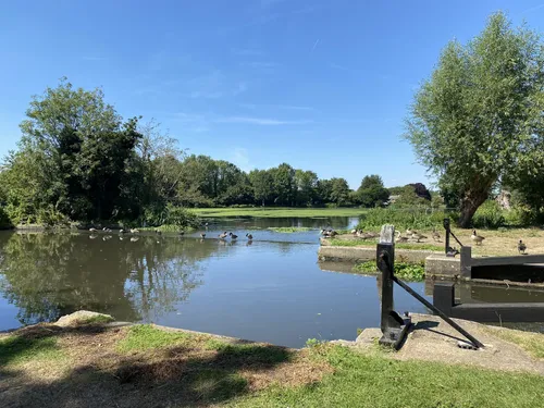 10 Best Forest Trails in Chobham Common | AllTrails