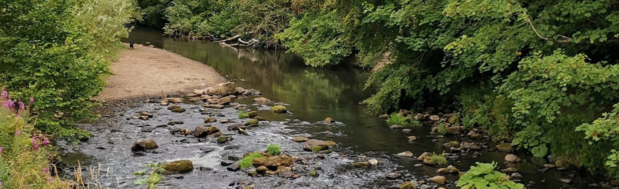 Roslin Castle and Hawthomdem Castle Circular: 60 Reviews, Map ...