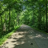 Holmes County Trail, Ohio - 199 Reviews, Map | AllTrails