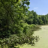 Holmes County Trail, Ohio - 199 Reviews, Map | AllTrails