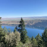 Chief Joseph Summit Trail, Oregon - 88 Reviews, Map | AllTrails