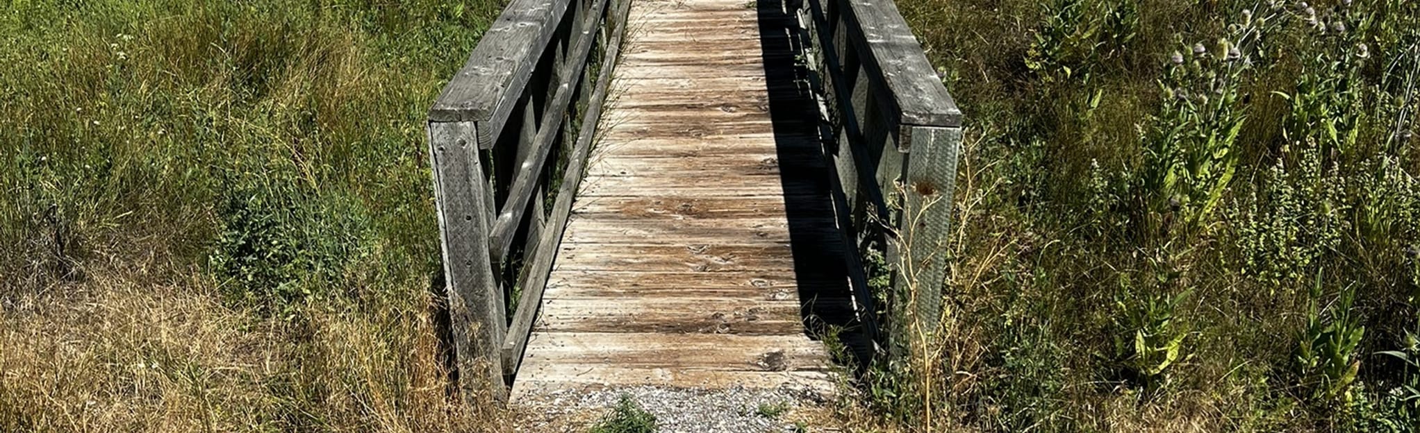 Benson Railroad Bridge Trail: 38 Reviews, Map - Utah | AllTrails