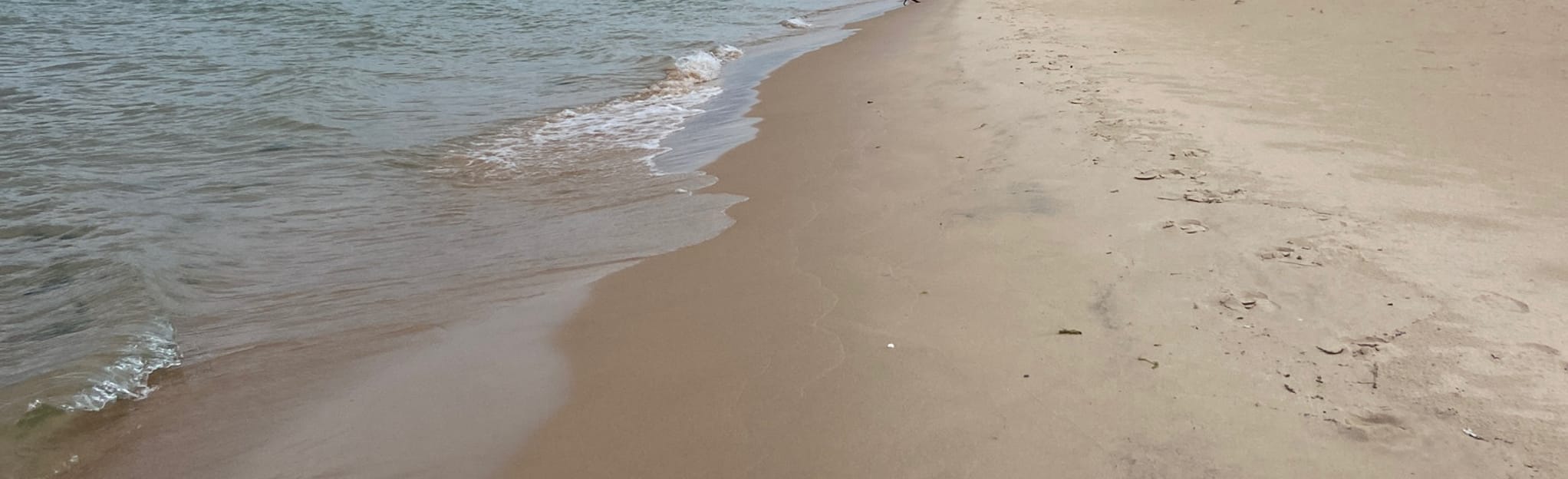 Silver Lake Hiking Access, Michigan - 61 Reviews, Map | AllTrails