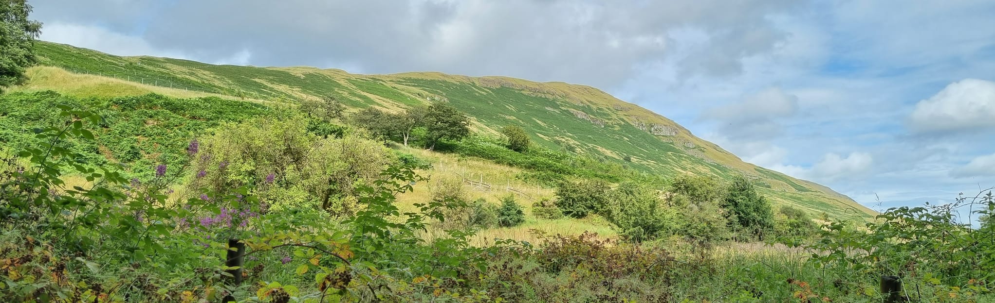Campsie Glen: 17 Reviews, Map - Glasgow City, Scotland | AllTrails