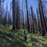 Bolan Lake and Bolan Mountain Trail, Oregon - 18 Reviews, Map | AllTrails