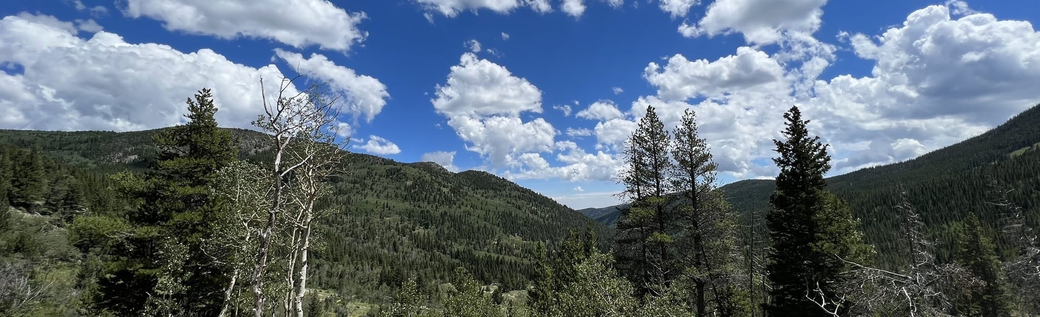 Jasper Lake Trail: 1094 Reviews, Map - Colorado | AllTrails