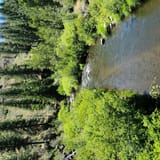 Bizz Johnson Trail, California - 186 Reviews, Map | AllTrails