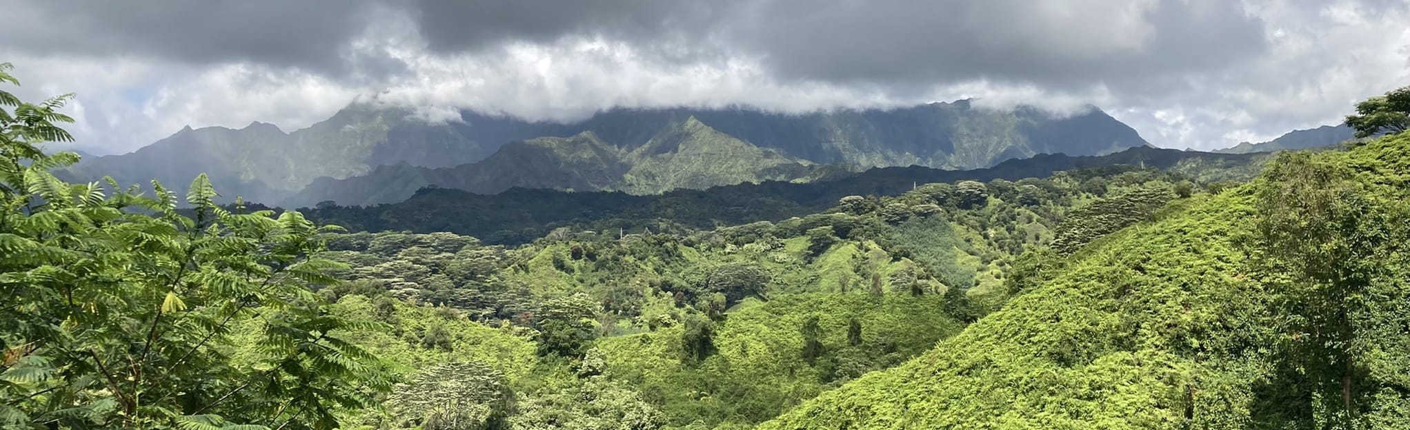 Moalepe Trail: 265 Reviews, Map - Kaua'i, Hawaii | AllTrails