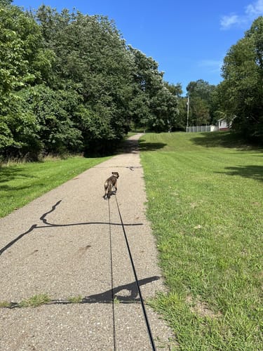 Best Hikes and Trails in Carnegie Park | AllTrails