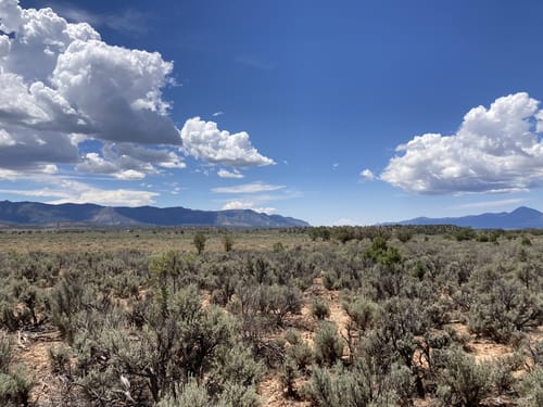 2023 Best 10 Trails and Hikes in Cortez | AllTrails