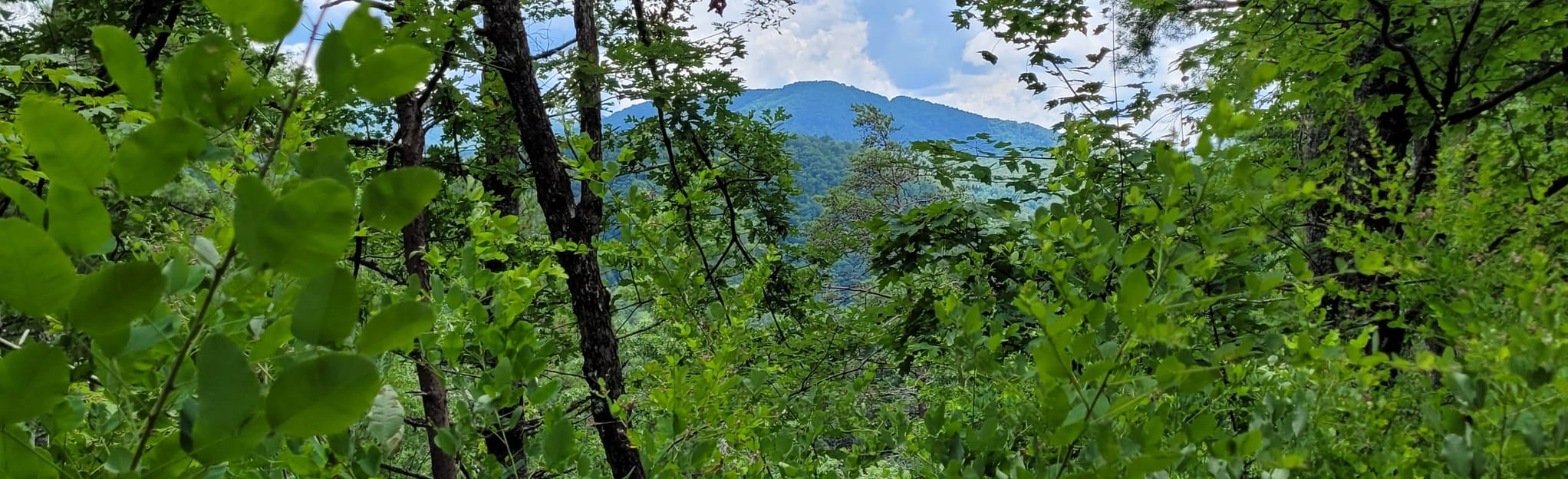 Mill Creek Road to Stone Mountain Trail: 43 Reviews, Map - Tennessee ...