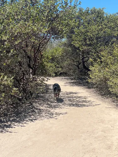 Best Hikes and Trails in Orcutt Community Park | AllTrails
