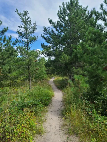 Best Hikes and Trails in Grand Beach Provincial Park | AllTrails