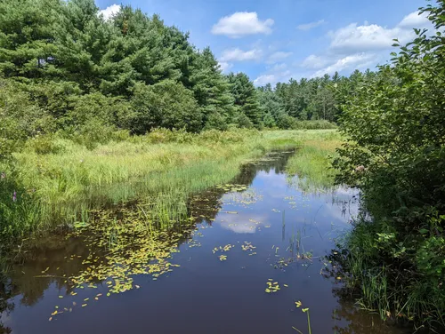 Best Hikes and Trails in Deep River | AllTrails