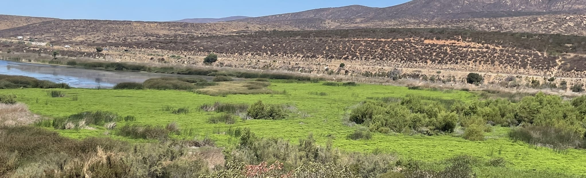 AllTrails | Lower Otay Reservoir: Eastern Side from Otay Lakes Road: 89 ...