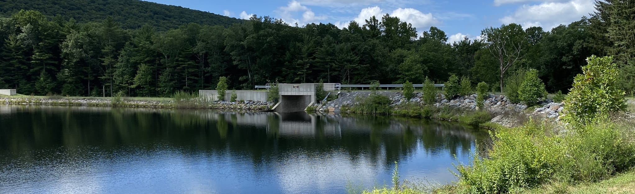 Owl Creek Reservoir, Pennsylvania - 113 Reviews, Map | AllTrails