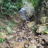 Mount Nuang, Selangor, Malaysia - 221 Reviews, Map | AllTrails