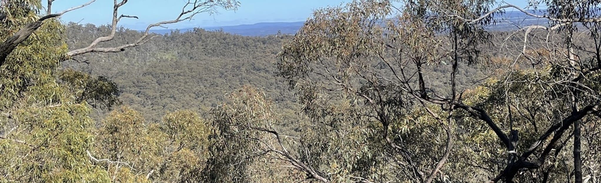 Melvilles Lookout and Mount Black, Victoria, Australia - 8 Reviews, Map ...