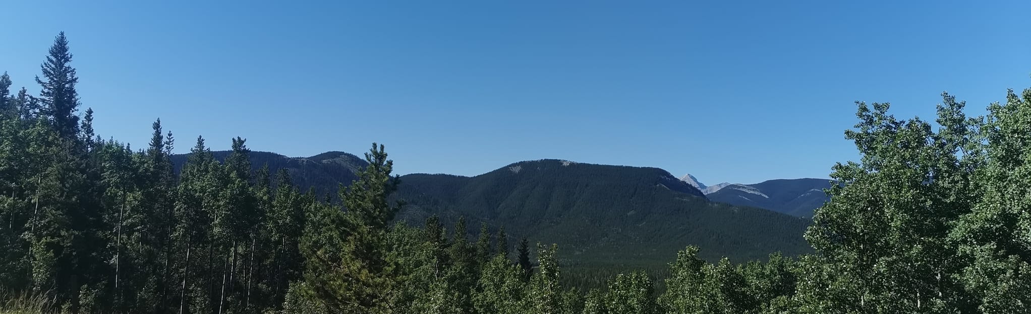 Sulphur Springs and Elbow Valley Trail Loop: 179 Reviews, Map - Alberta ...