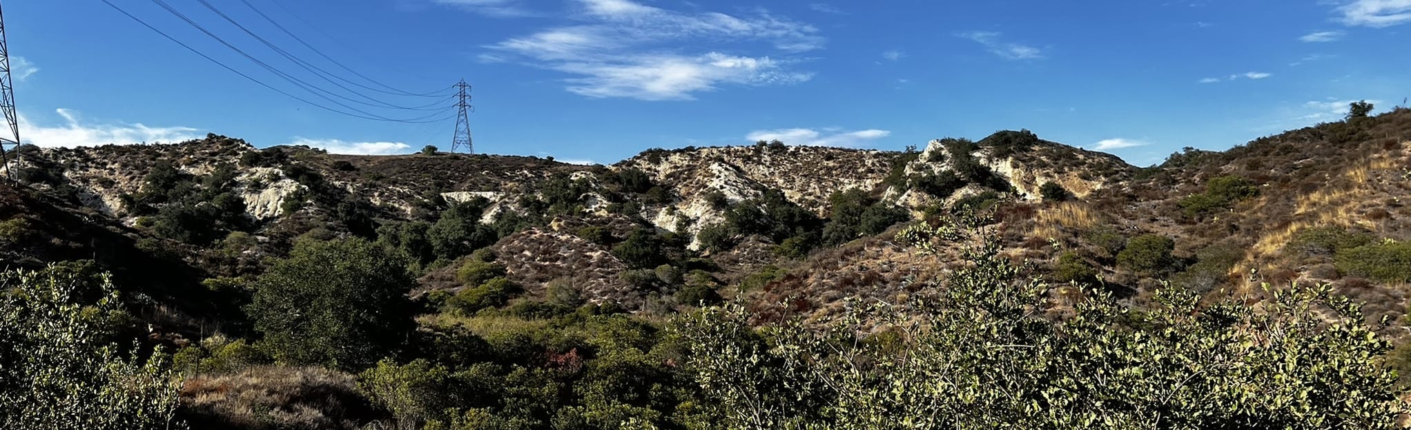 Whiting Ranch Loop | Map, Guide - California | AllTrails