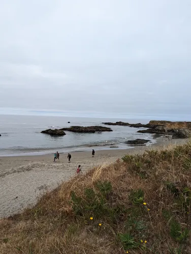 Best Hikes and Trails in Sea Ranch | AllTrails