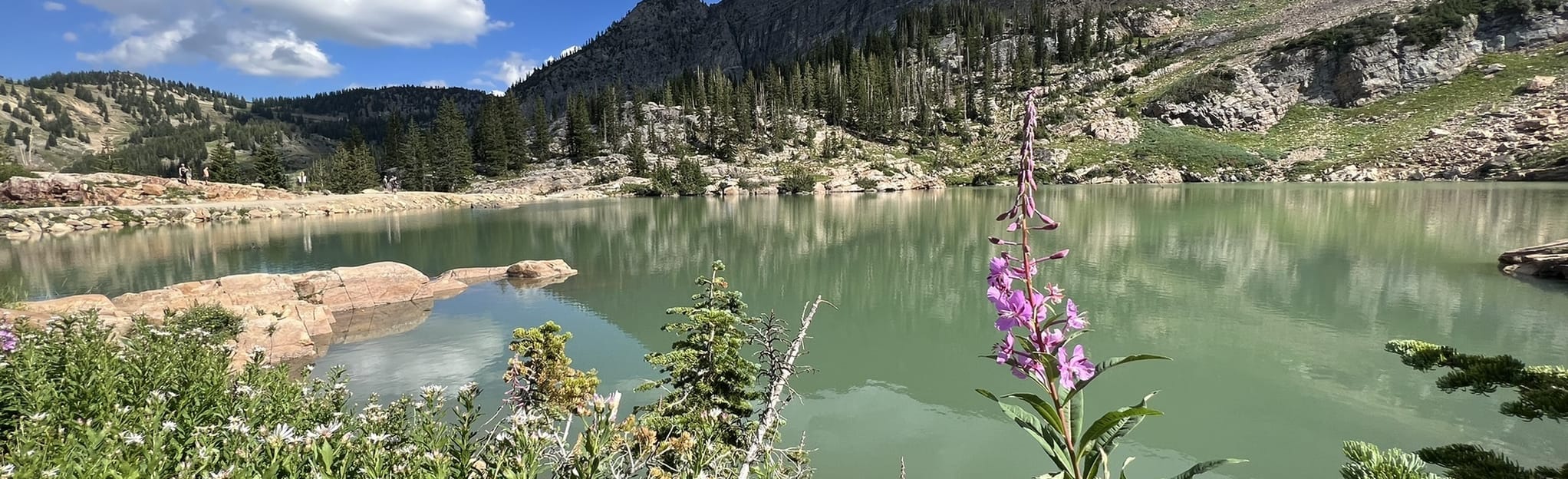 Cecret Lake Trail, Utah - 3,373 Reviews, Map | AllTrails