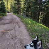 Gore Range Trail, Colorado - 41 Reviews, Map | AllTrails