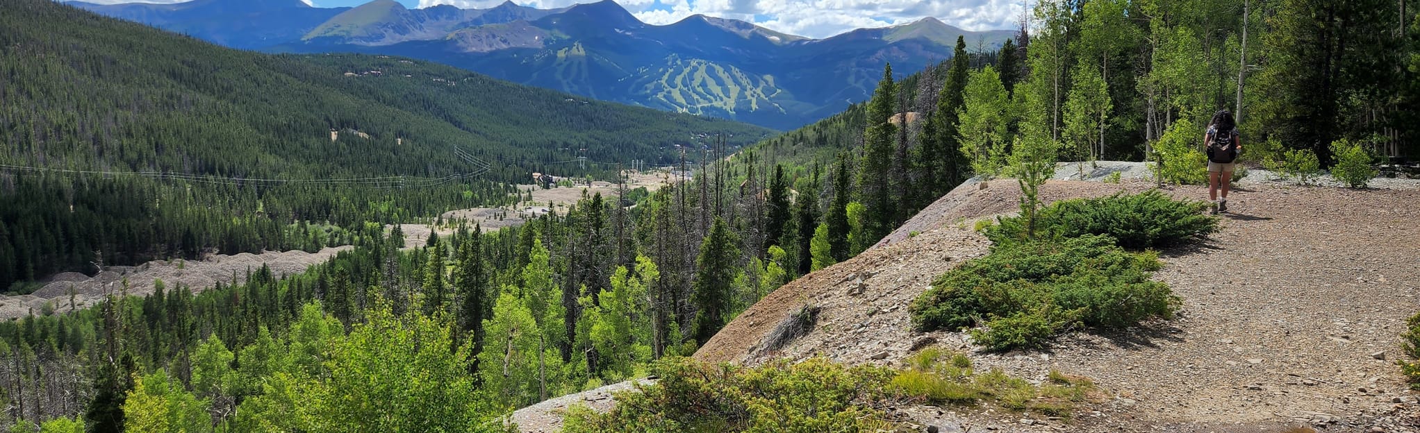 Minnie Mine Loop: 689 Reviews, Map - Colorado | AllTrails