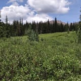 Gore Range Trail, Colorado - 41 Reviews, Map | AllTrails