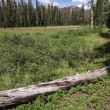 Gore Range Trail, Colorado - 41 Reviews, Map | AllTrails