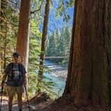 Baker River Trail, Washington - 237 Reviews, Map | AllTrails